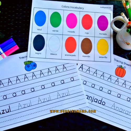 Spanish Colors Printable Pack – Budding Mama