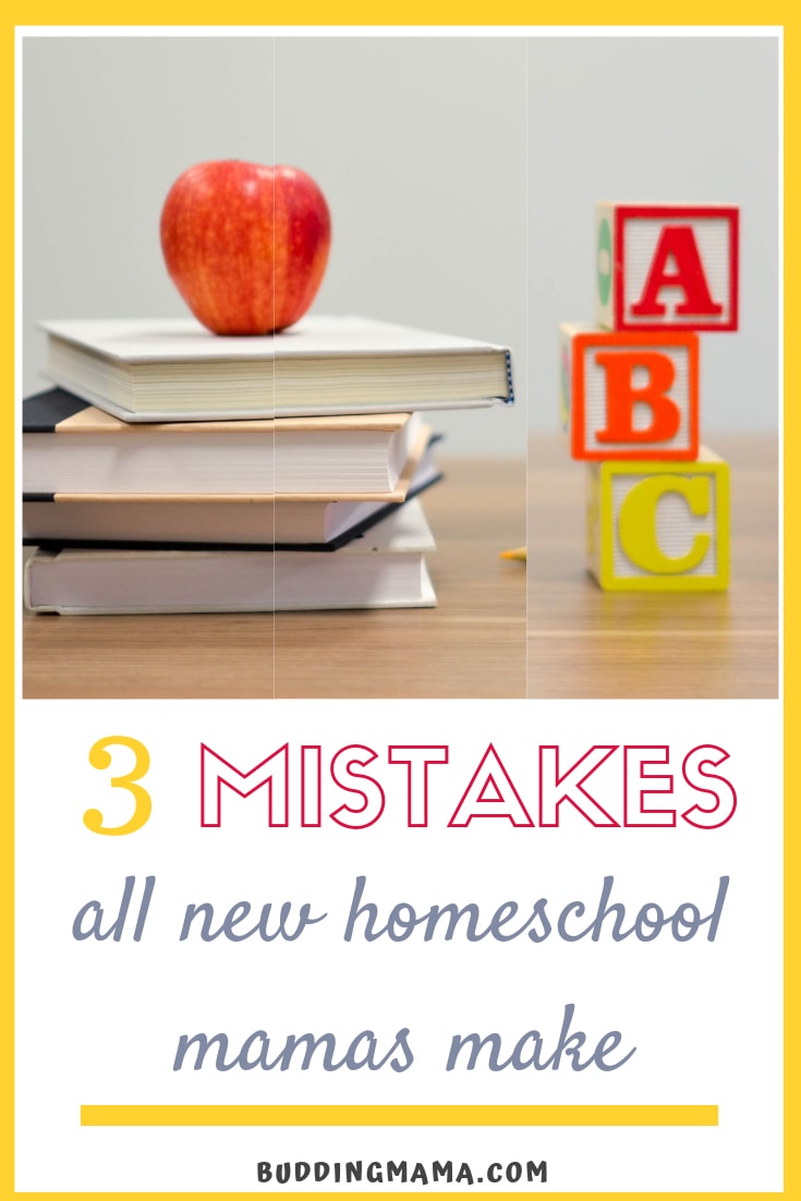 3 Common Mistakes Homeschool Mamas and How to Fix Them – Budding Mama