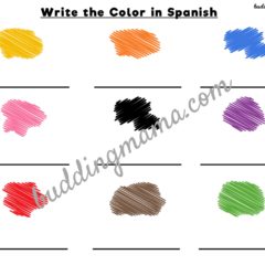 Spanish Colors Printable Pack – Budding Mama
