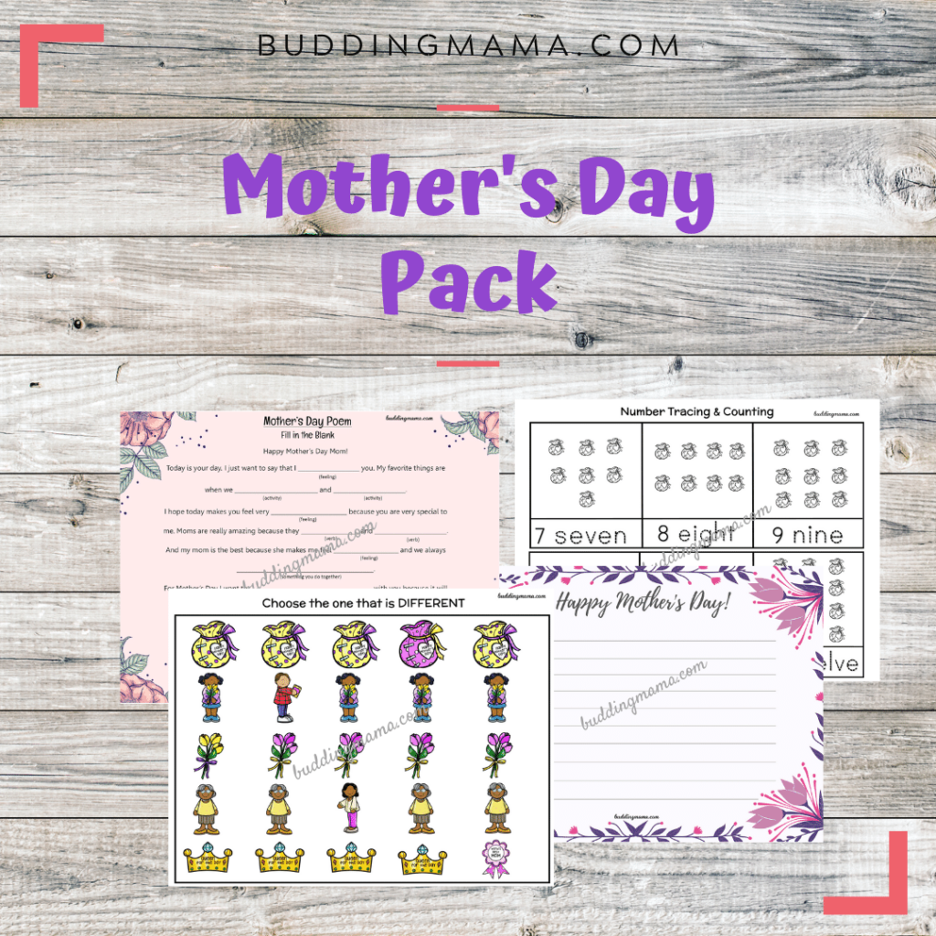Subscriber Library – Budding Mama