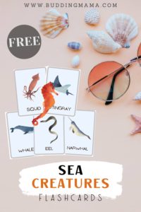 Free Sea Creatures Flashcards for Young Learners – Budding Mama