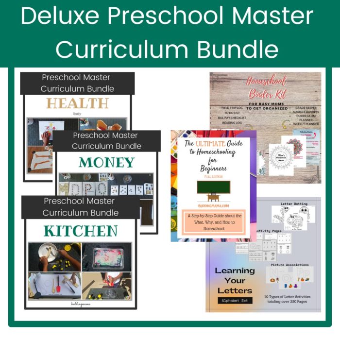 Preschool Theme Ideas for Building Your Homeschool Curriculum – Budding ...
