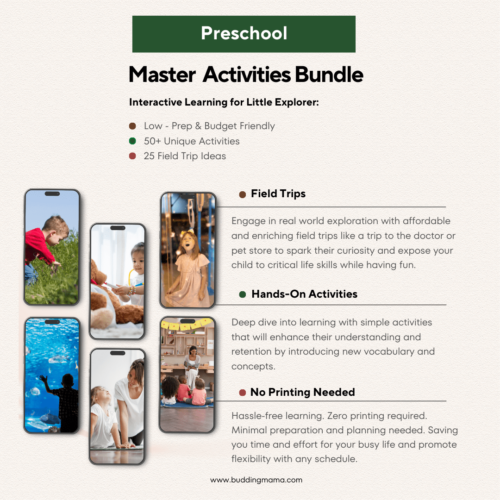 Preschool Master Activities Bundle – Budding Mama