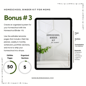 Master Bundle Preschool – Budding Mama